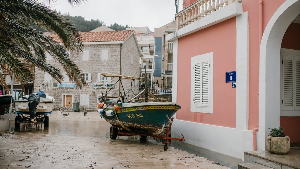 Alles Wissenswerte rund um den flacher Fisch: Arten, Lebensraum ...