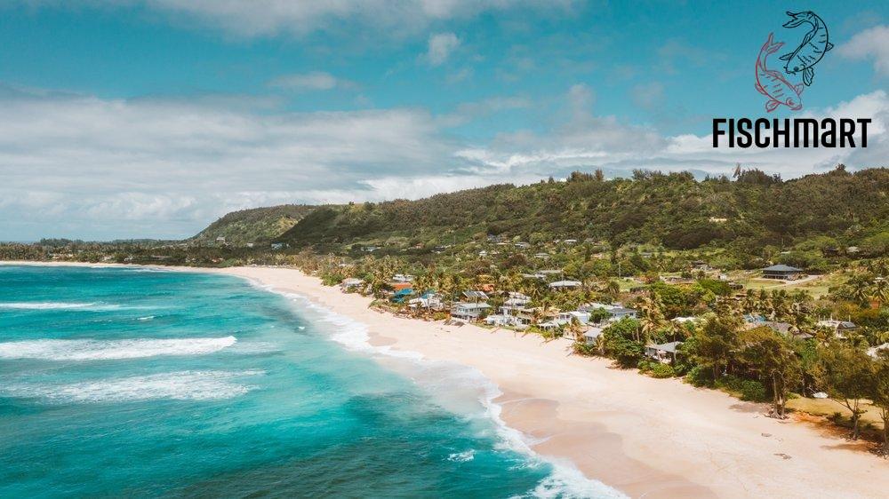 Grundlagen und Anwendungen der Fischer Verteilung: Ein Leitfaden